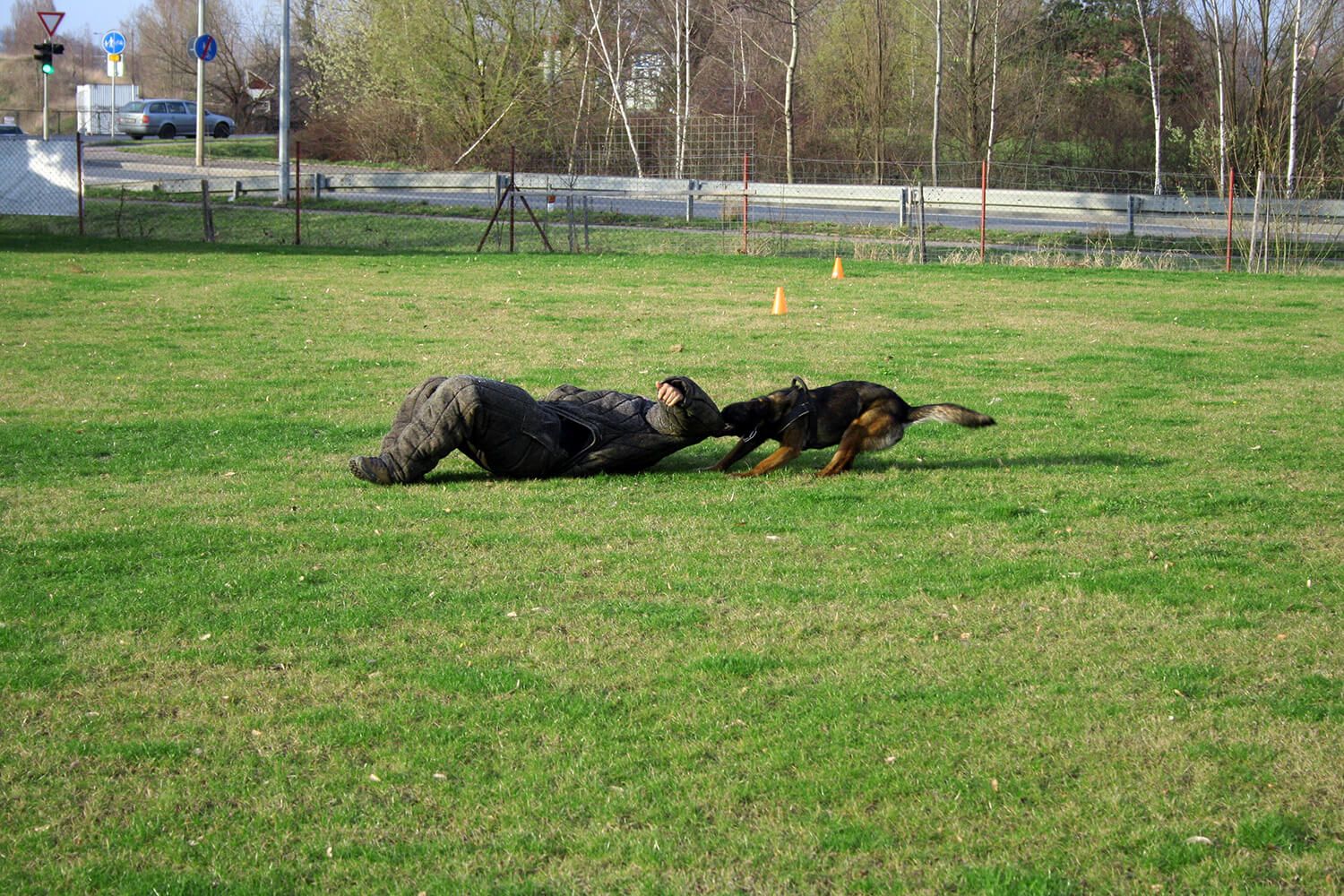 Dog chase - Extreme experience in Prague | ActionPark.cz